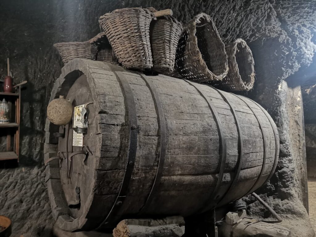 Algil Bodegas y Viñedos 🍷 La esencia del paisaje en cada botella